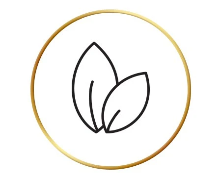 LR Напитка за Повече Енергия и Работоспособнoст Mind Master Gold - LR ...
